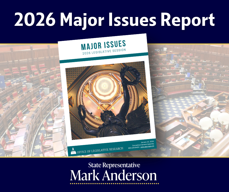 Major Issues Report: 2026