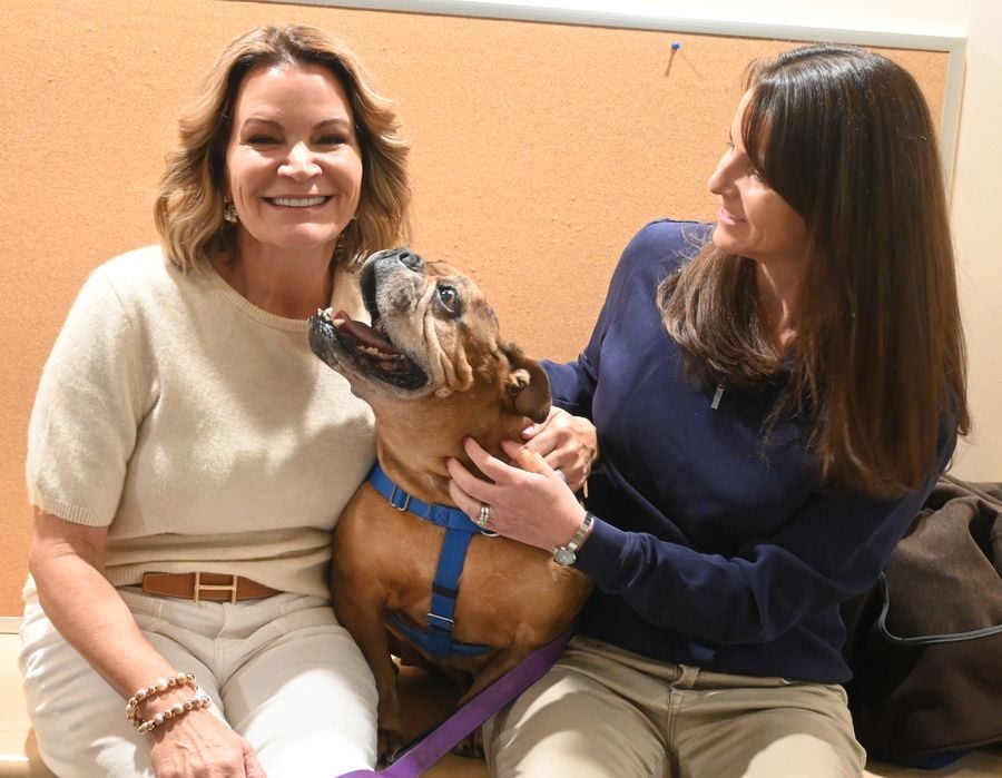 Take my 2026 Legislative Survey and share your thoughts